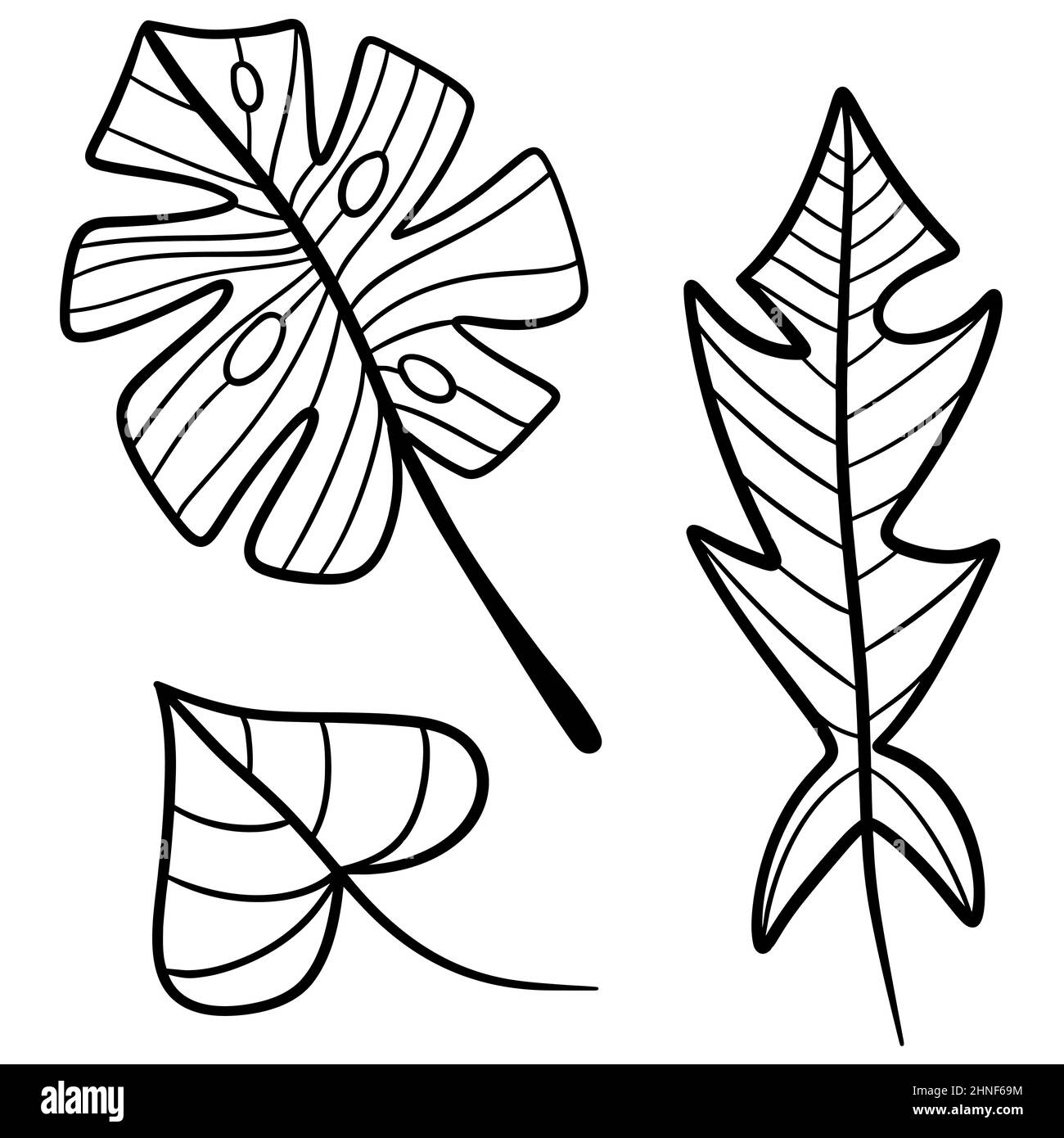 Leaf Black And White Clipart