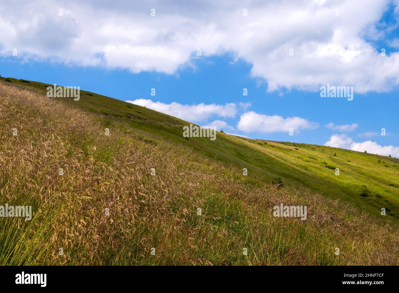 Bright landscape with grassy green meadow and distant mountain hills in ...