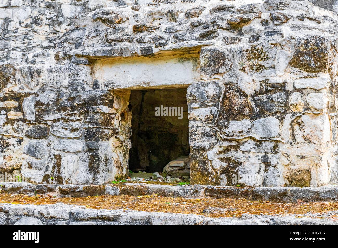 Ancient Mayan site with temple ruins pyramids and artifacts in the ...