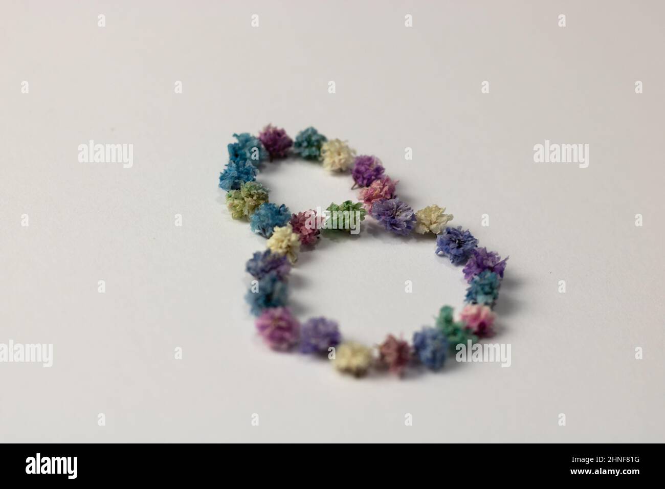 March number eight flowers hi-res stock photography and images - Alamy
