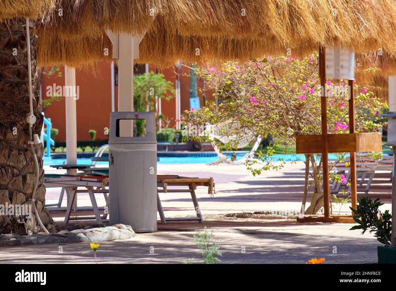Empty deck chairs under straw shade umbrellas on swimming pool side and ...