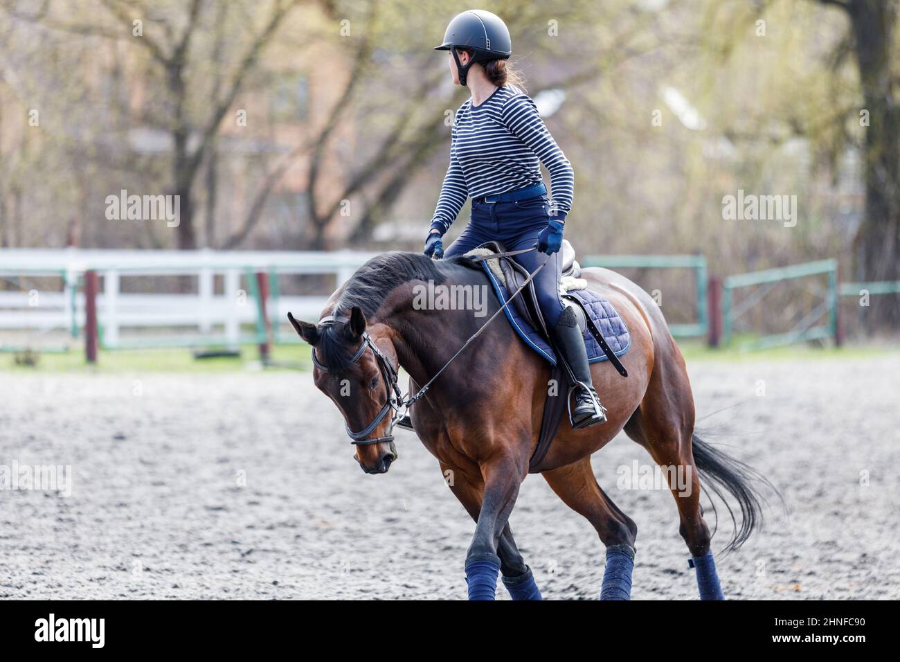 Young rider girl riding horse on the field Stock Photo - Alamy