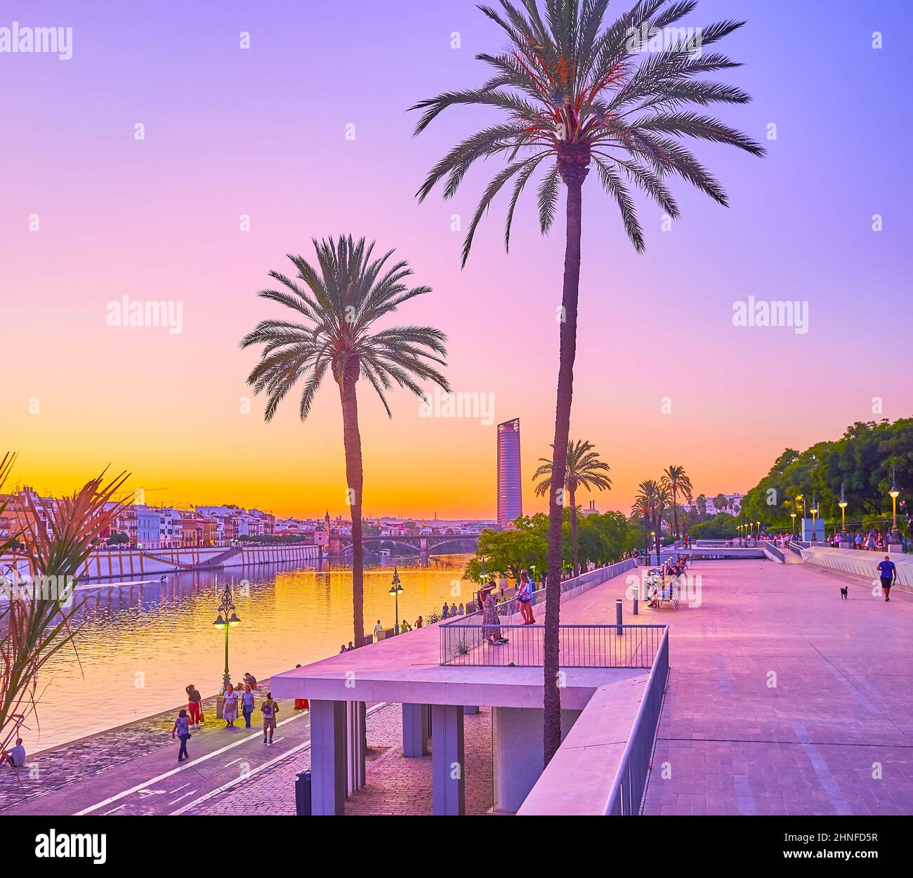 The picturesque and bright dusk cityscape of Seville with tall palms ...