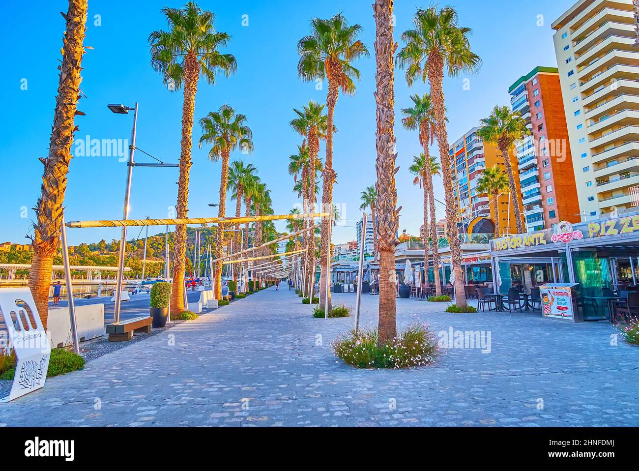 Enjoy the walk with a view of tall palms, cafes and modern buildings of ...