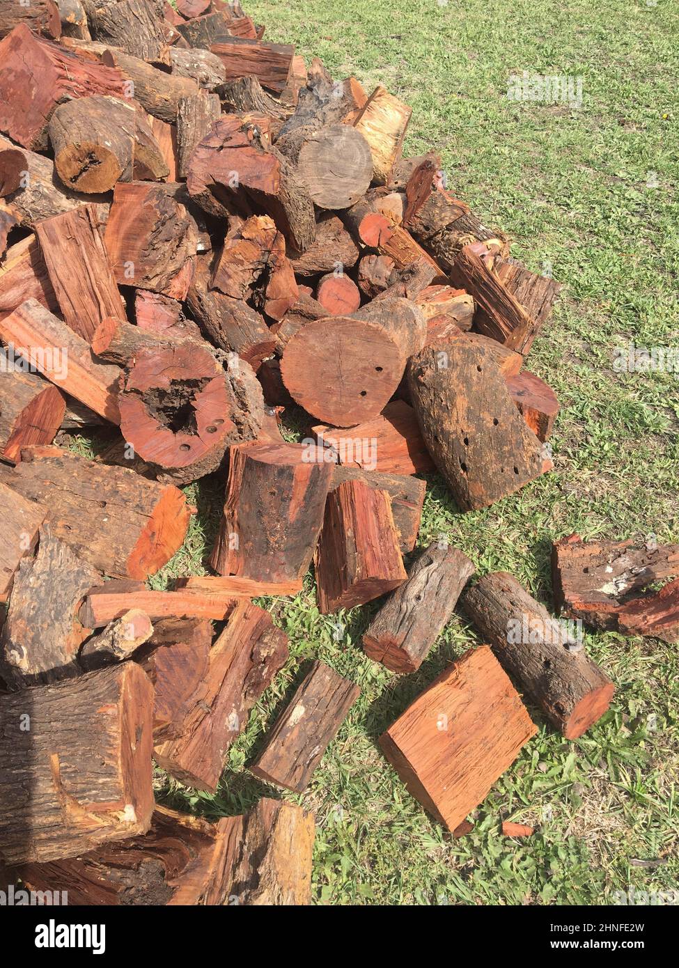 Quebracho tree hi-res stock photography and images - Alamy