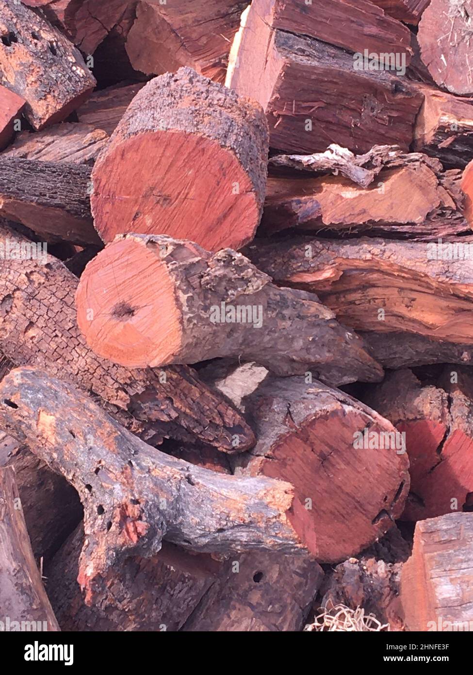 Quebracho hi-res stock photography and images - Alamy