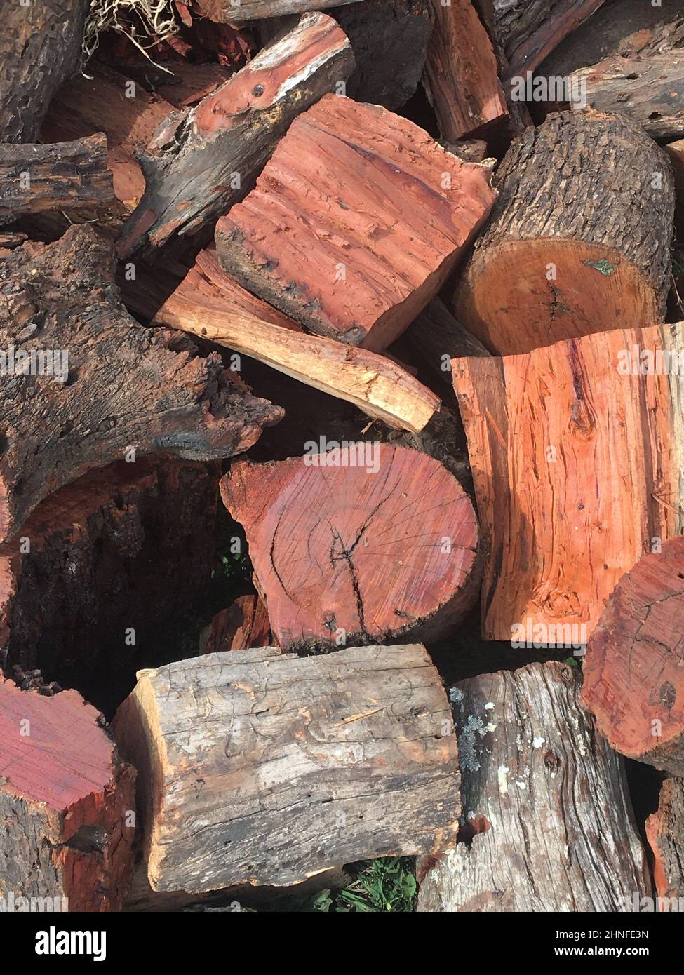 Quebracho tree hi-res stock photography and images - Alamy