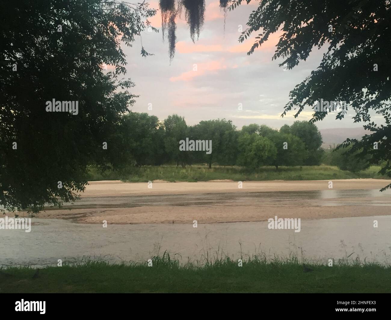 Meadow riverside forest hi-res stock photography and images - Alamy