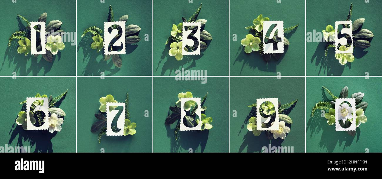 White paper numbers one to ten and zero on green. White and green ...