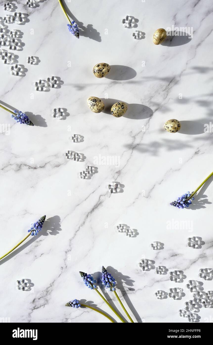 Golden quail eggs in glass heart bowl. Blue grape hyacinth flowers on ...