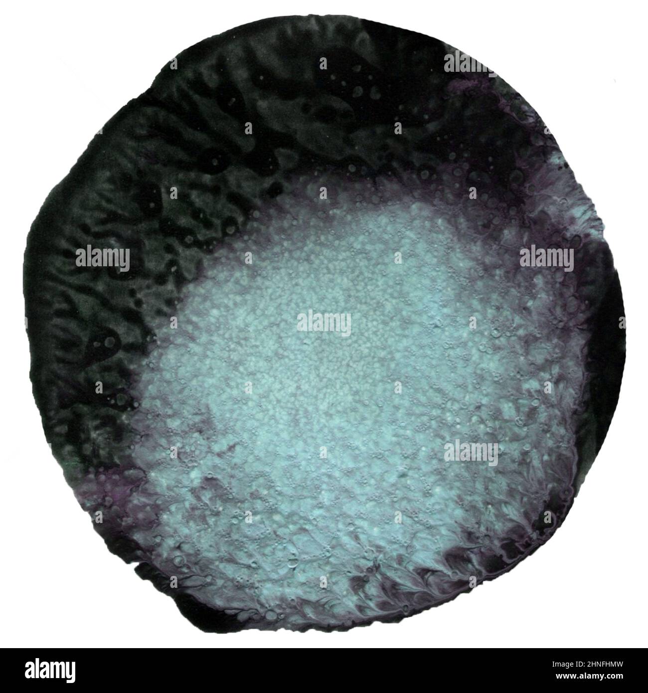 Blood splatter alpha Cut Out Stock Images & Pictures - Alamy