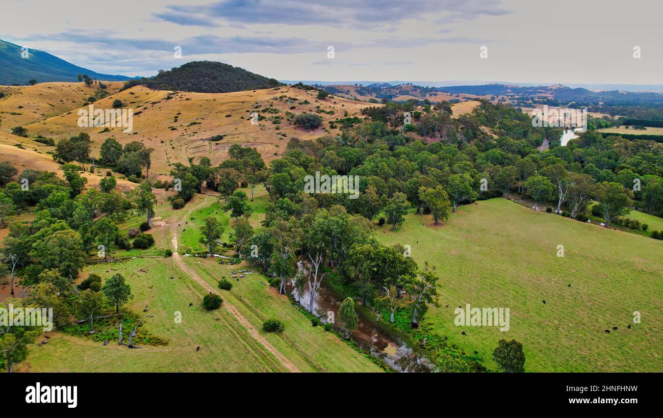 Cone of trees on a hill near Eildon in Victoria Australia Stock Photo ...