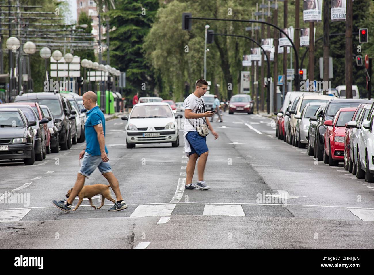 Mobility in the city of Vitoria, pedestrians crossing the pedestrian ...