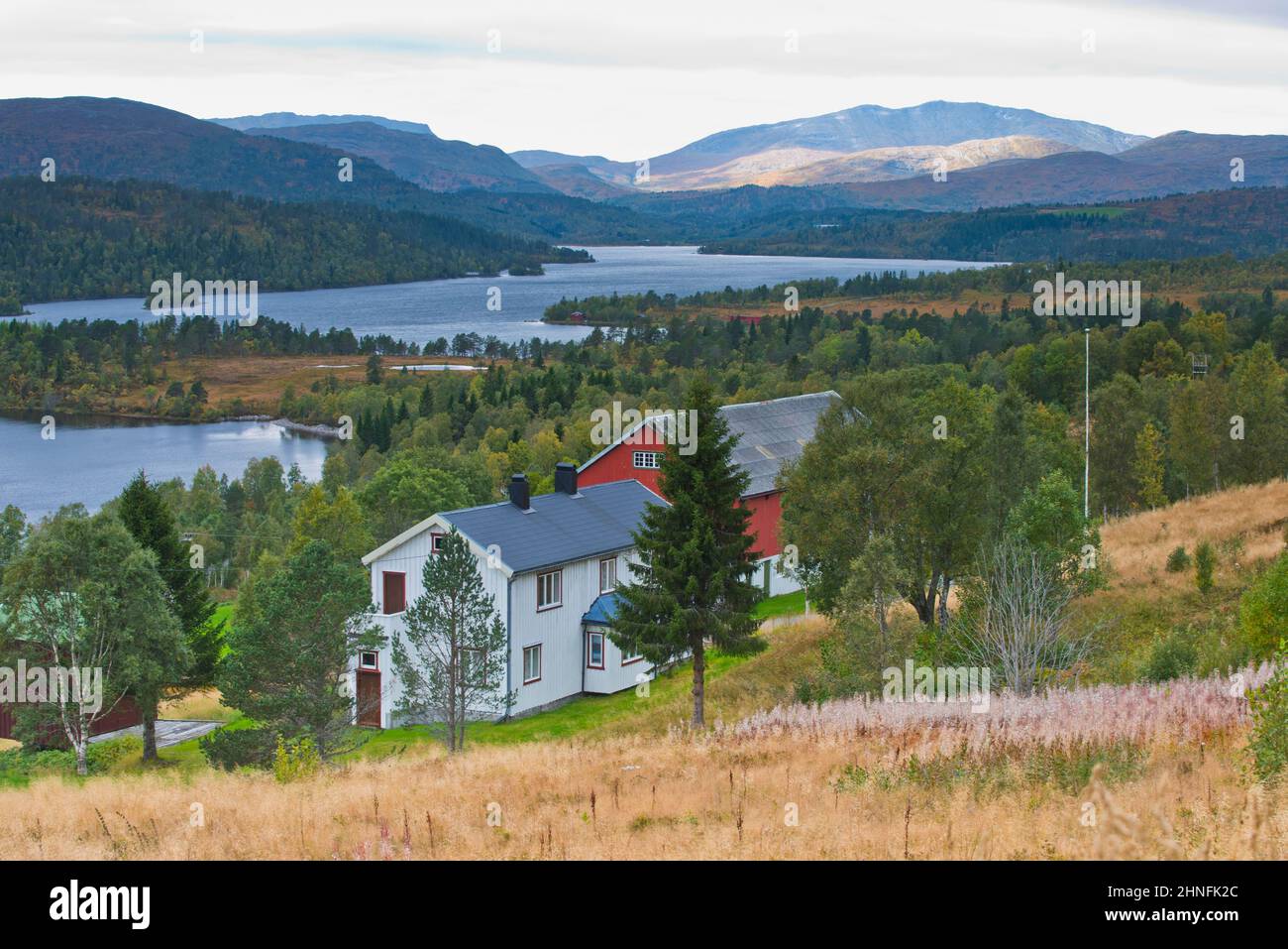 Trondheim nature hi-res stock photography and images - Alamy
