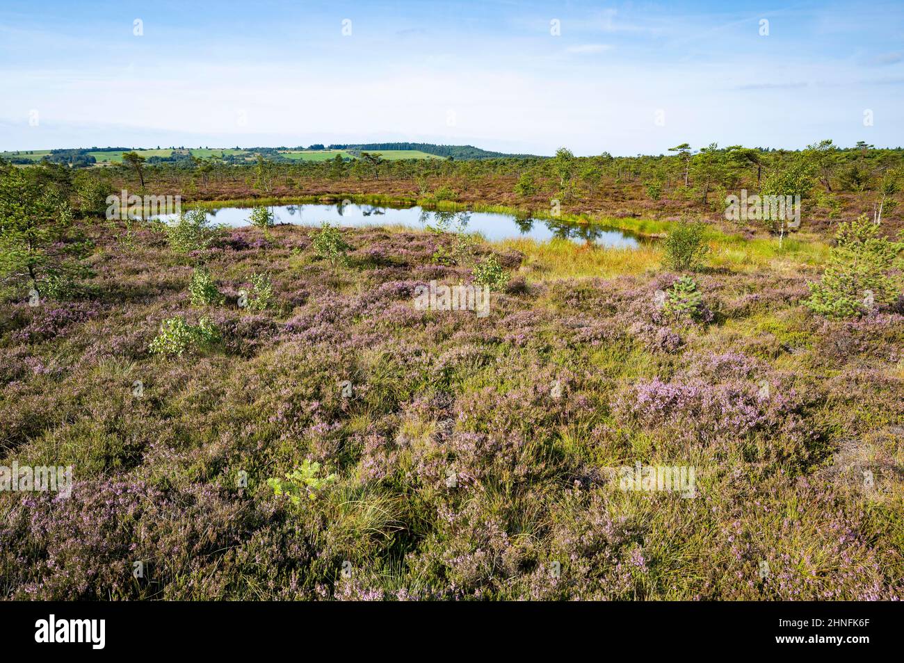 Black bog, with bog eye or bog scour, Rhoen Biosphere Reserve, Bavaria ...