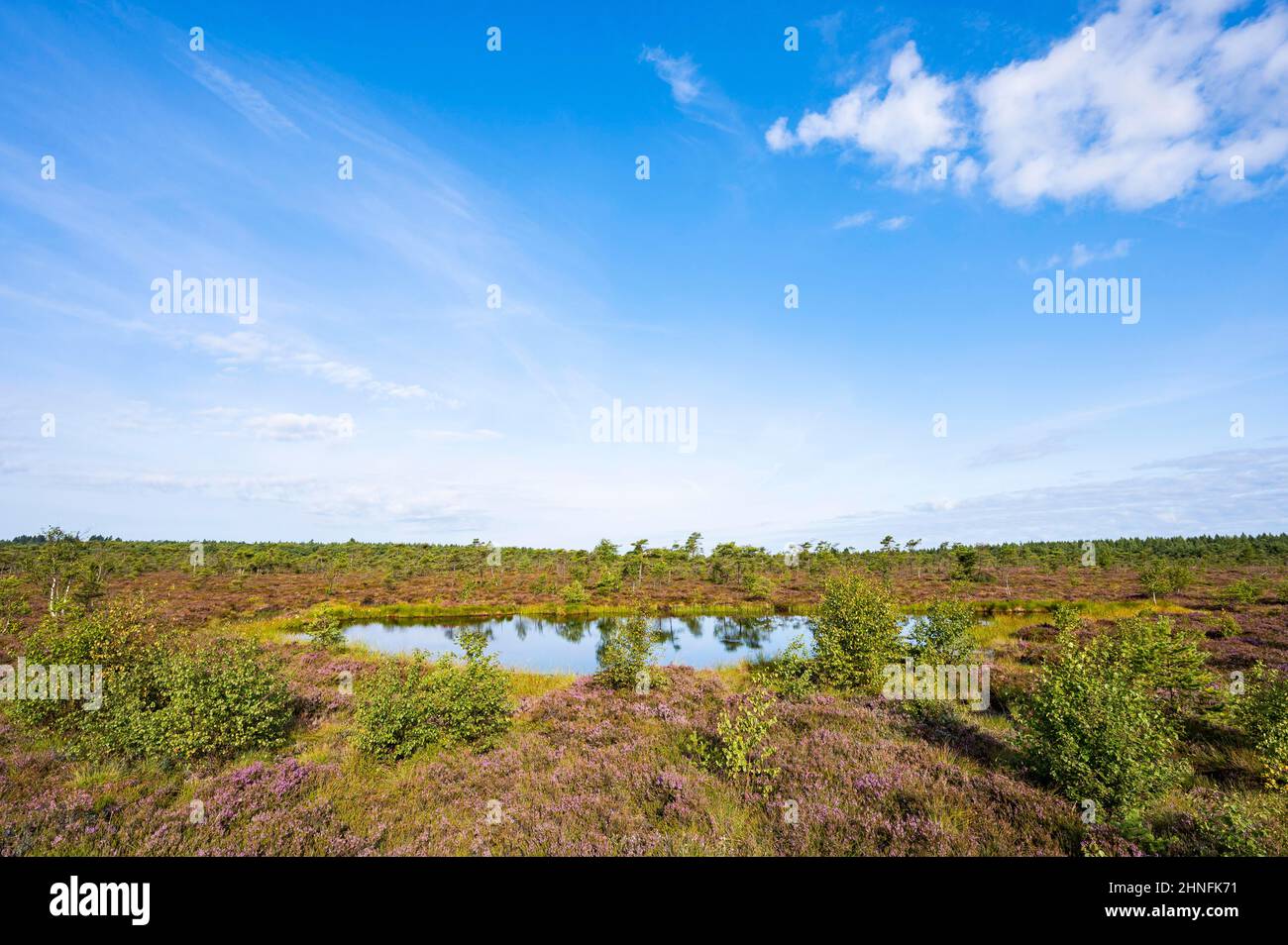 Black bog, with bog eye or bog scour, Rhoen Biosphere Reserve, Bavaria ...