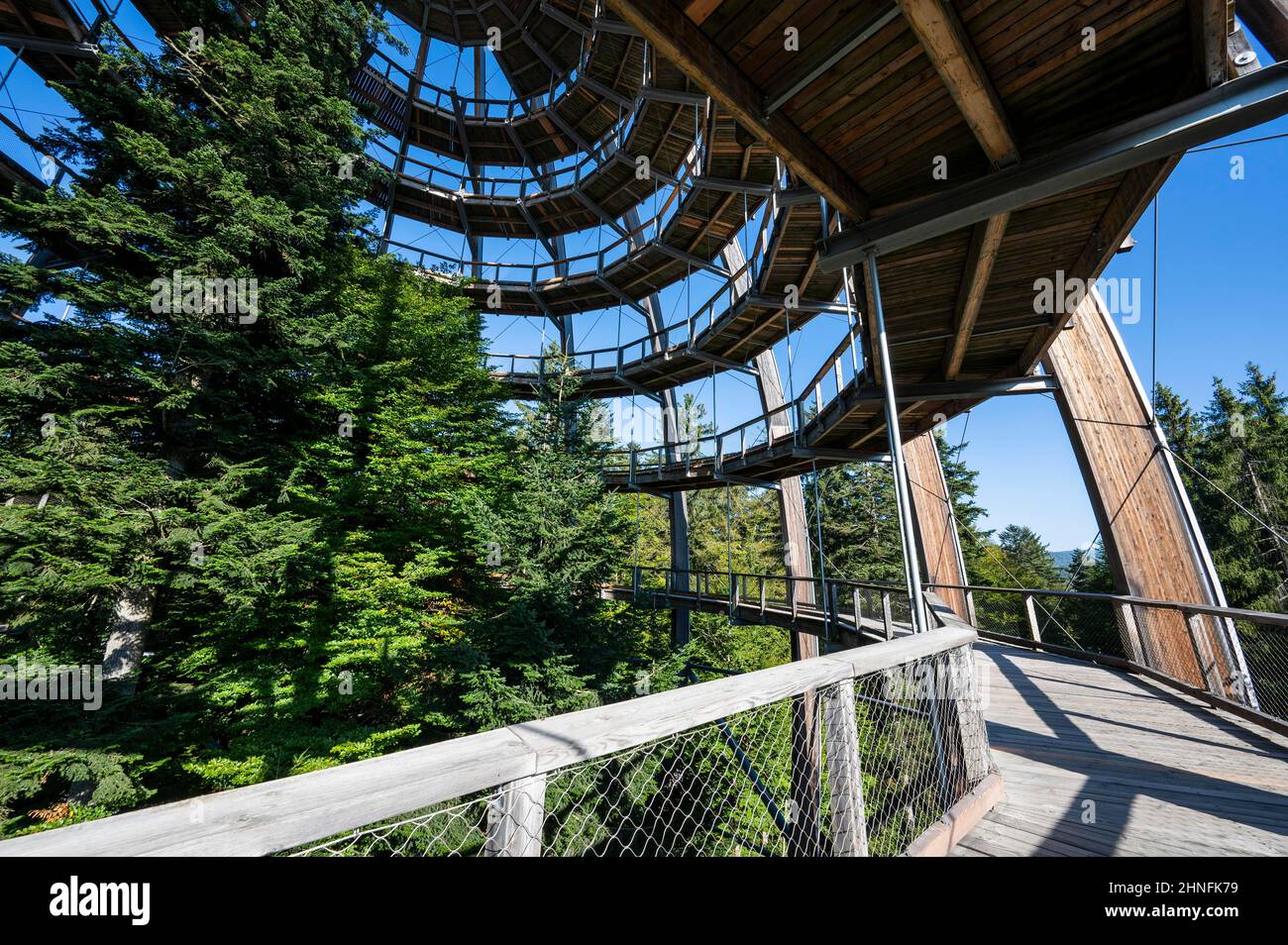 Treetop path, observation tower, Bavarian Forest, Bavaria, Germany ...