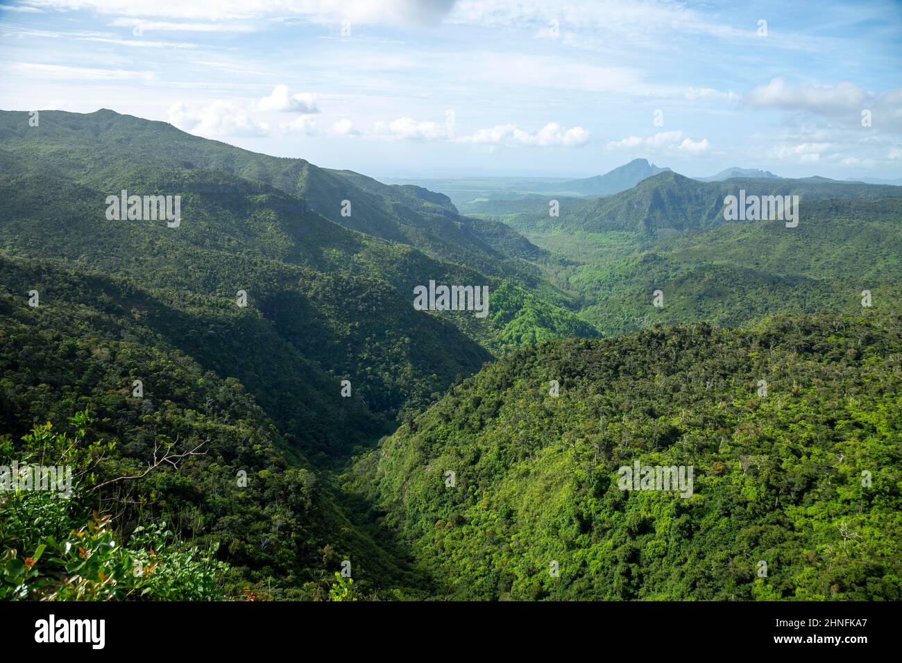 Black River Gorges National Park, Mauritius, Africa Stock Photo - Alamy