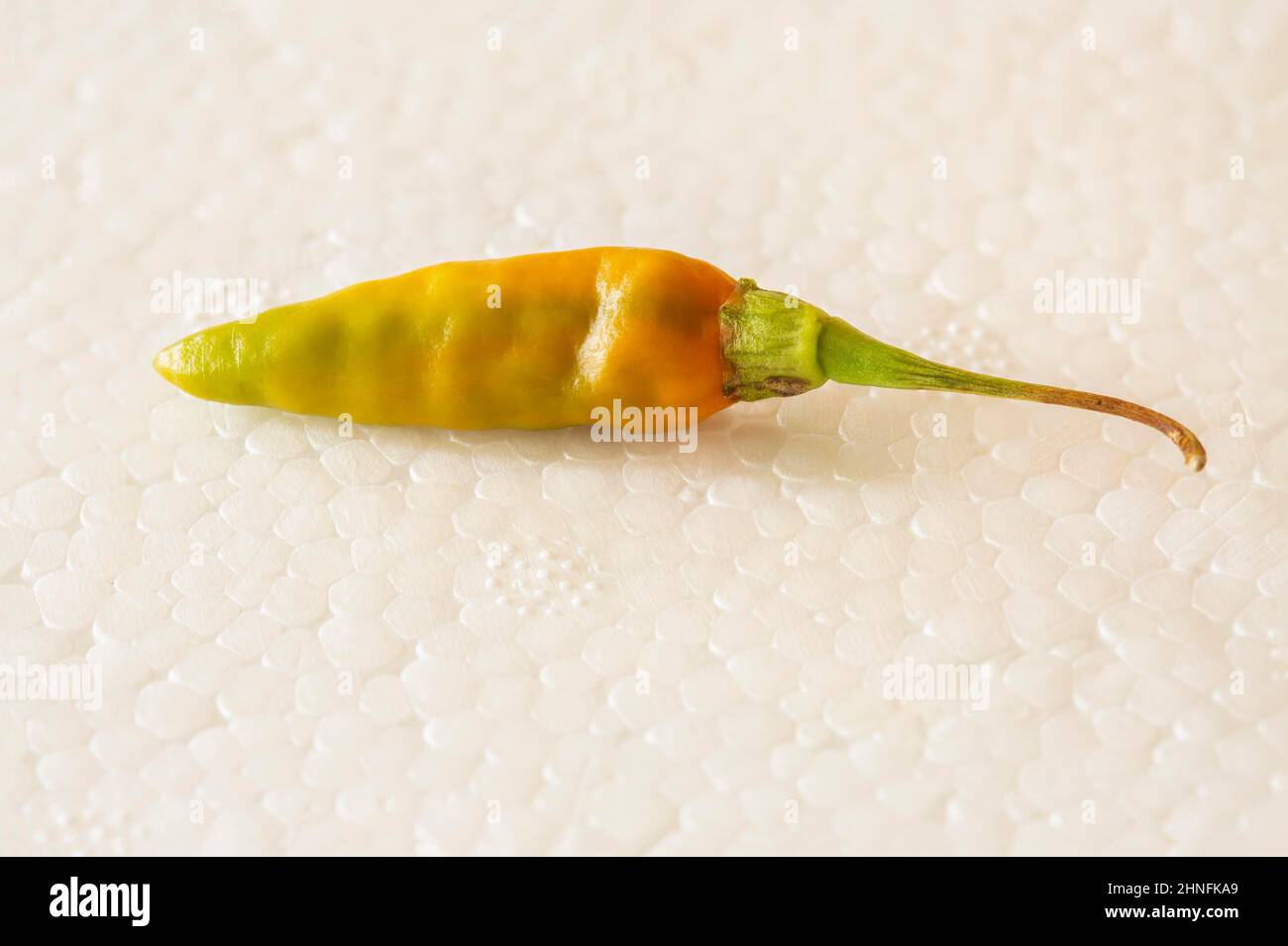 Fresh ripe small chili (Capsicum frutescens Stock Photo - Alamy