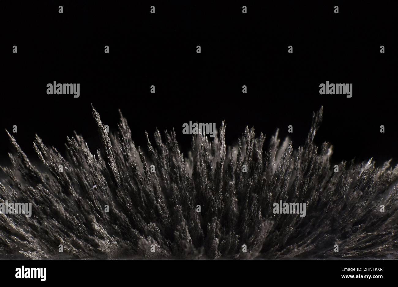 Reaction of iron dust to a magnetic field on a black background Stock ...