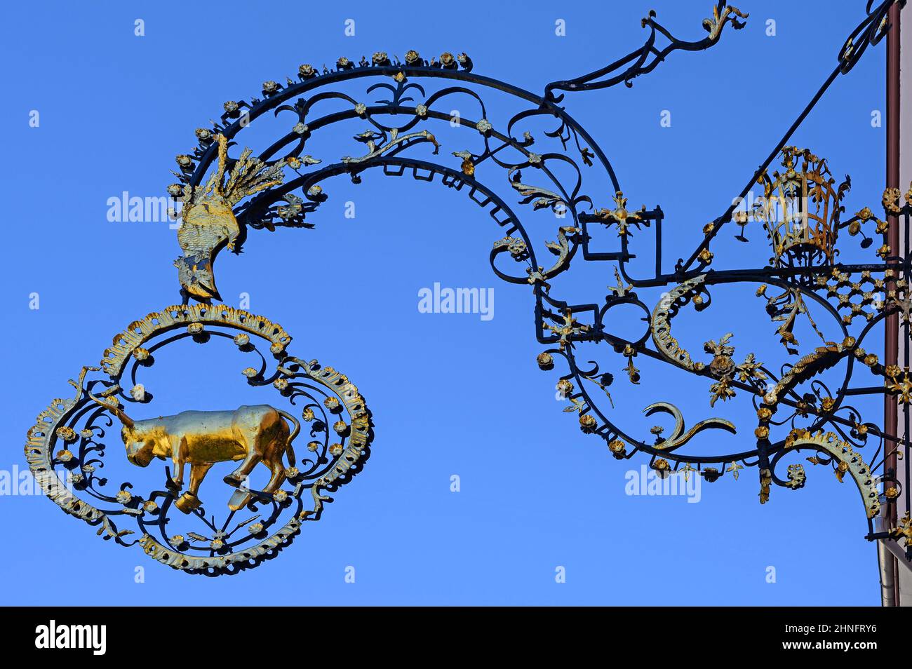 Golden cow hi-res stock photography and images - Alamy