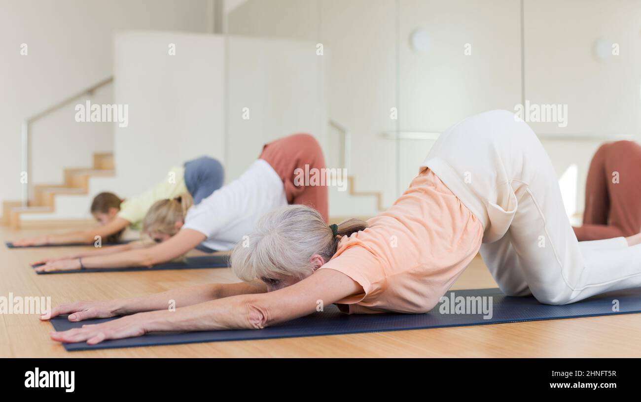 Female group perform asanas for yoga in comfortable classroom Stock ...
