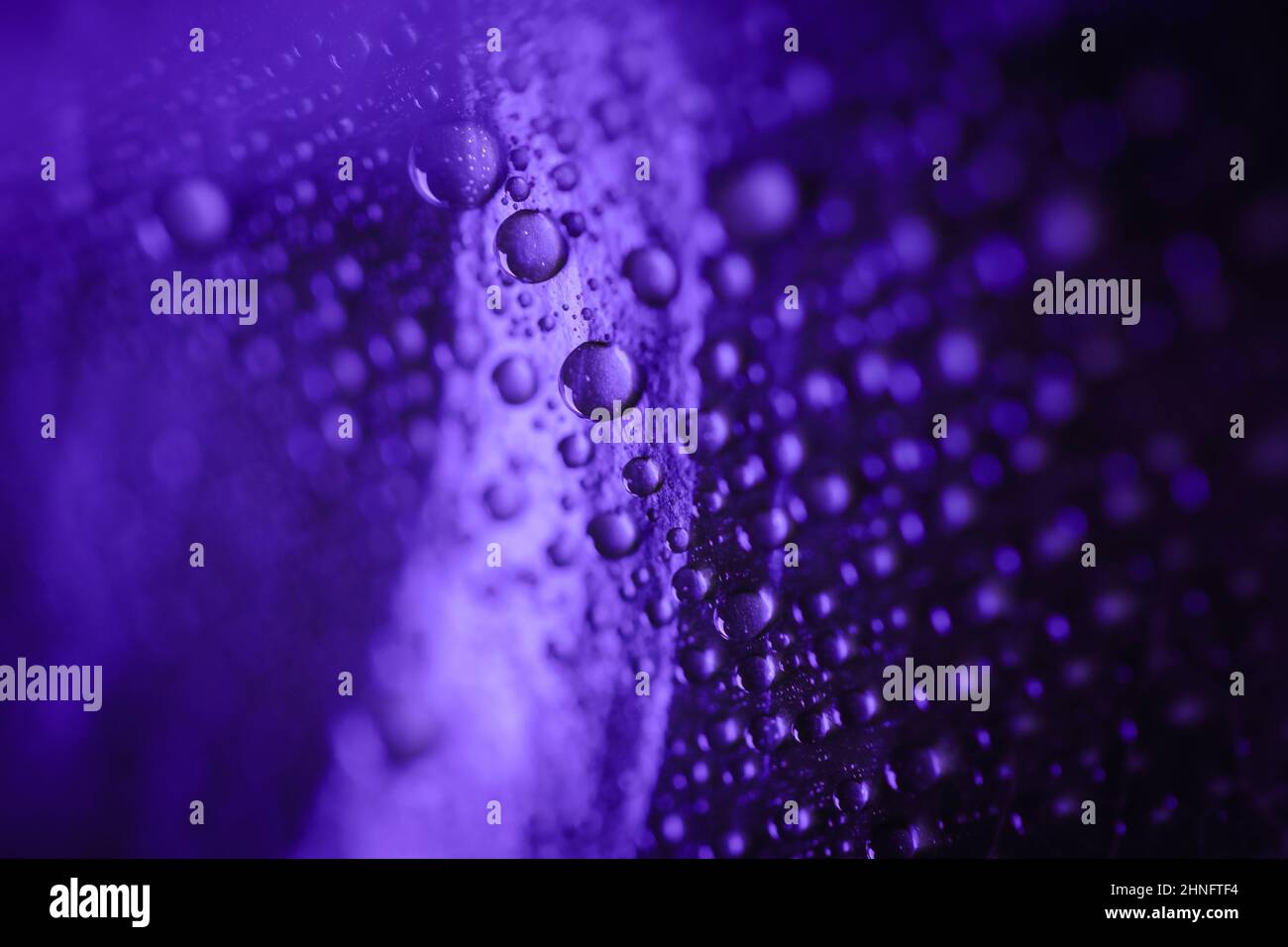 Wet purple surface with colorful glistering water drops Stock Photo - Alamy