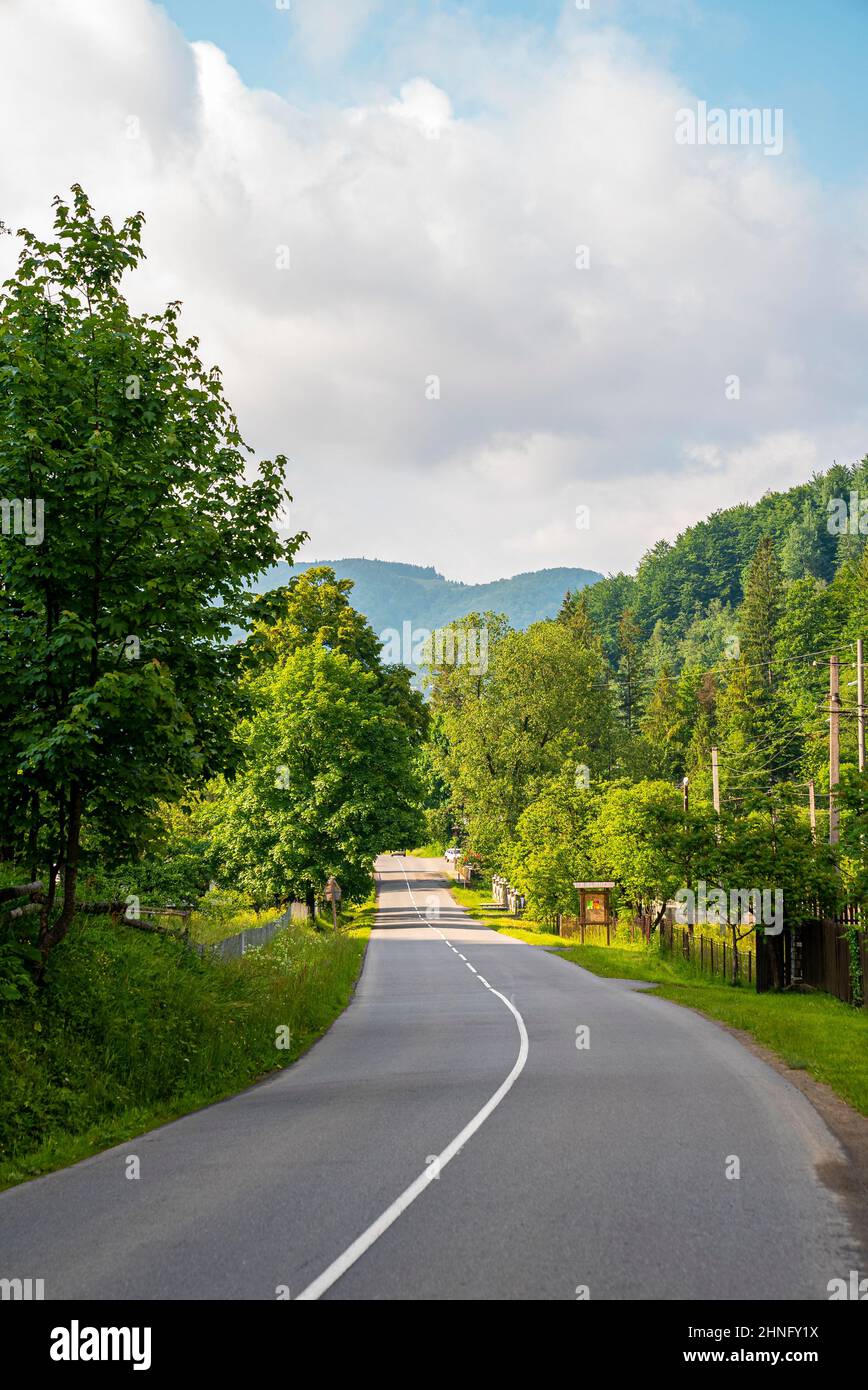 Curved asphalt road with white surface marking through forest Stock Photo - Alamy