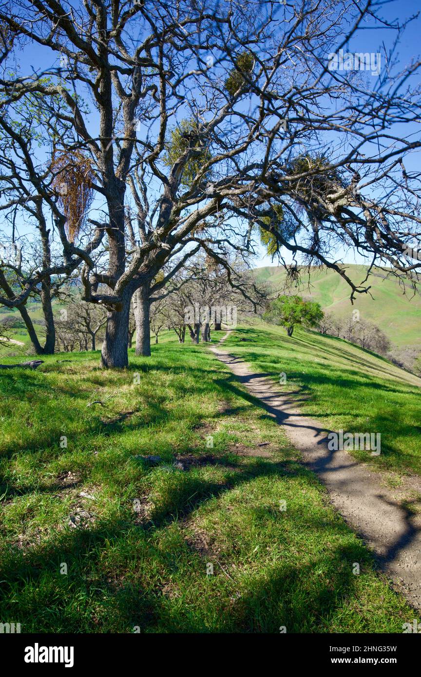 De Valle Regional Park Sf Bay Area Stock Photo - Alamy