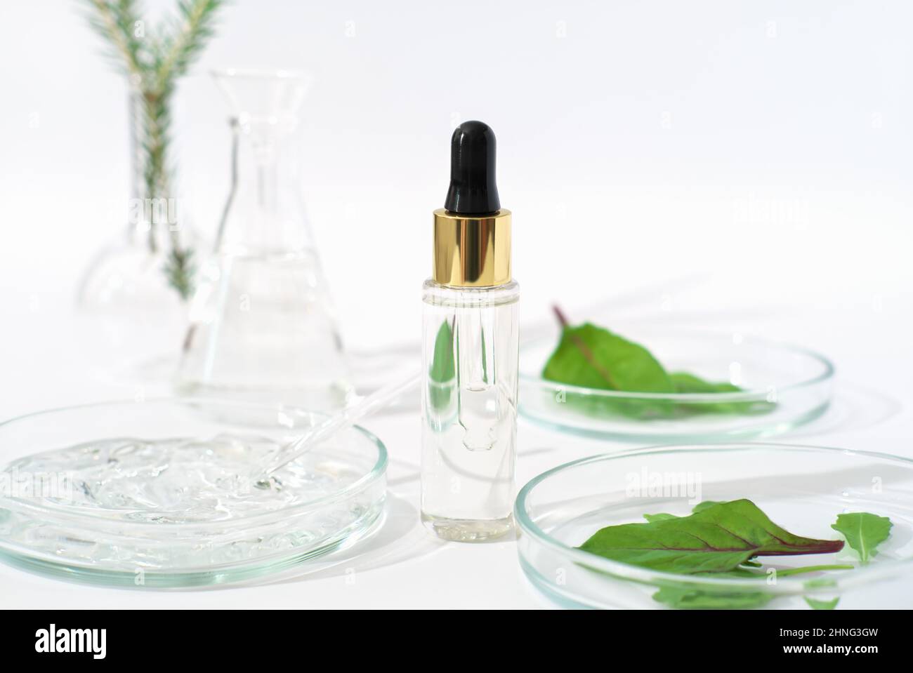 face care serum or fluid and petri dishes with green leaves and ...