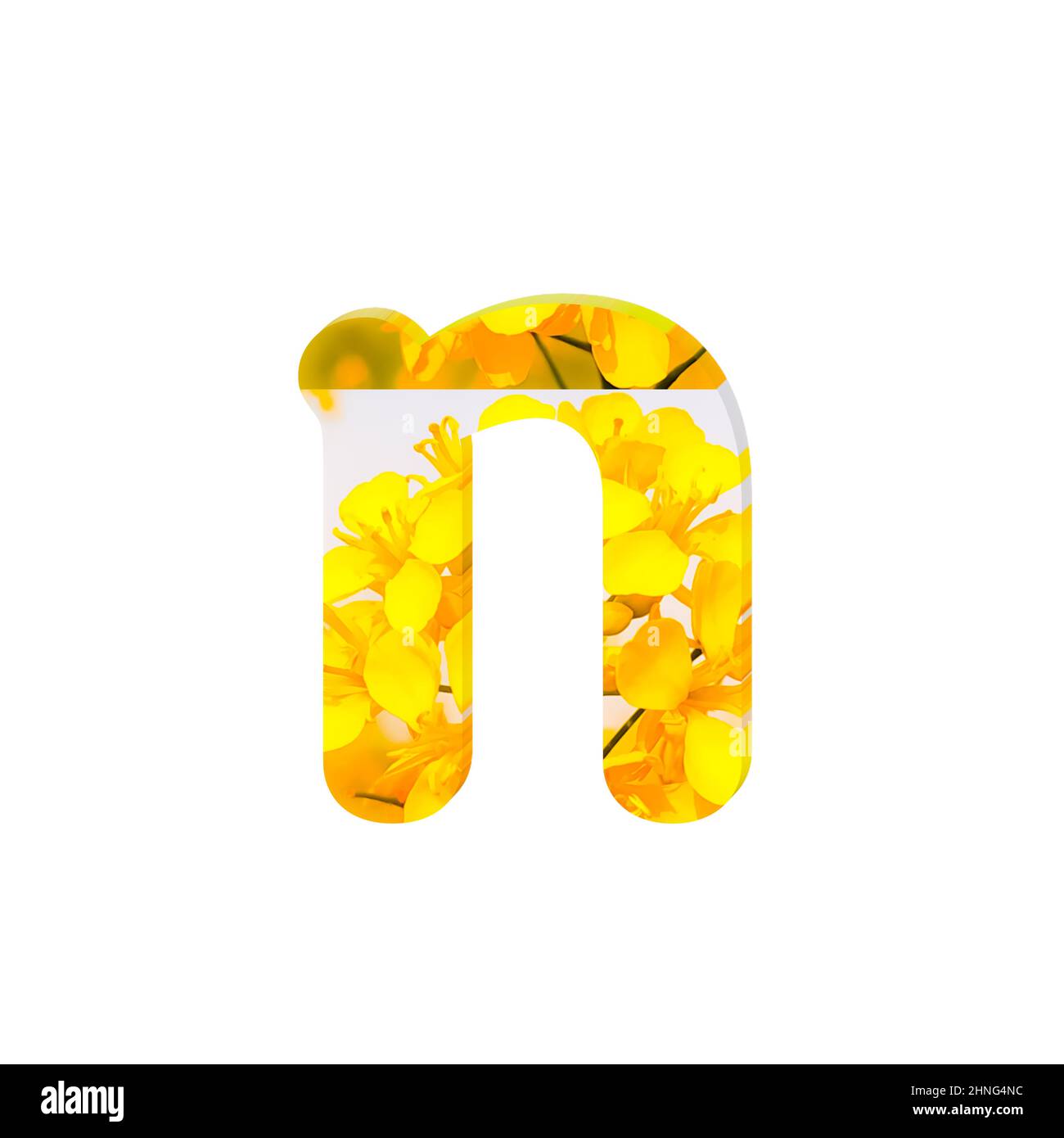 Letter n flowers hi-res stock photography and images - Alamy