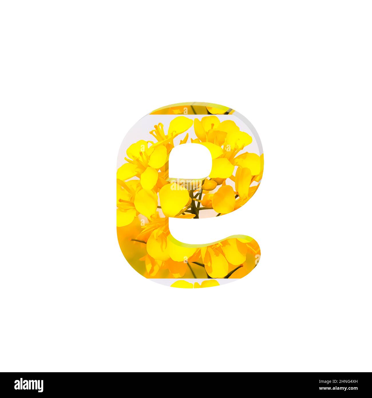 Letter e flowers hi-res stock photography and images - Alamy