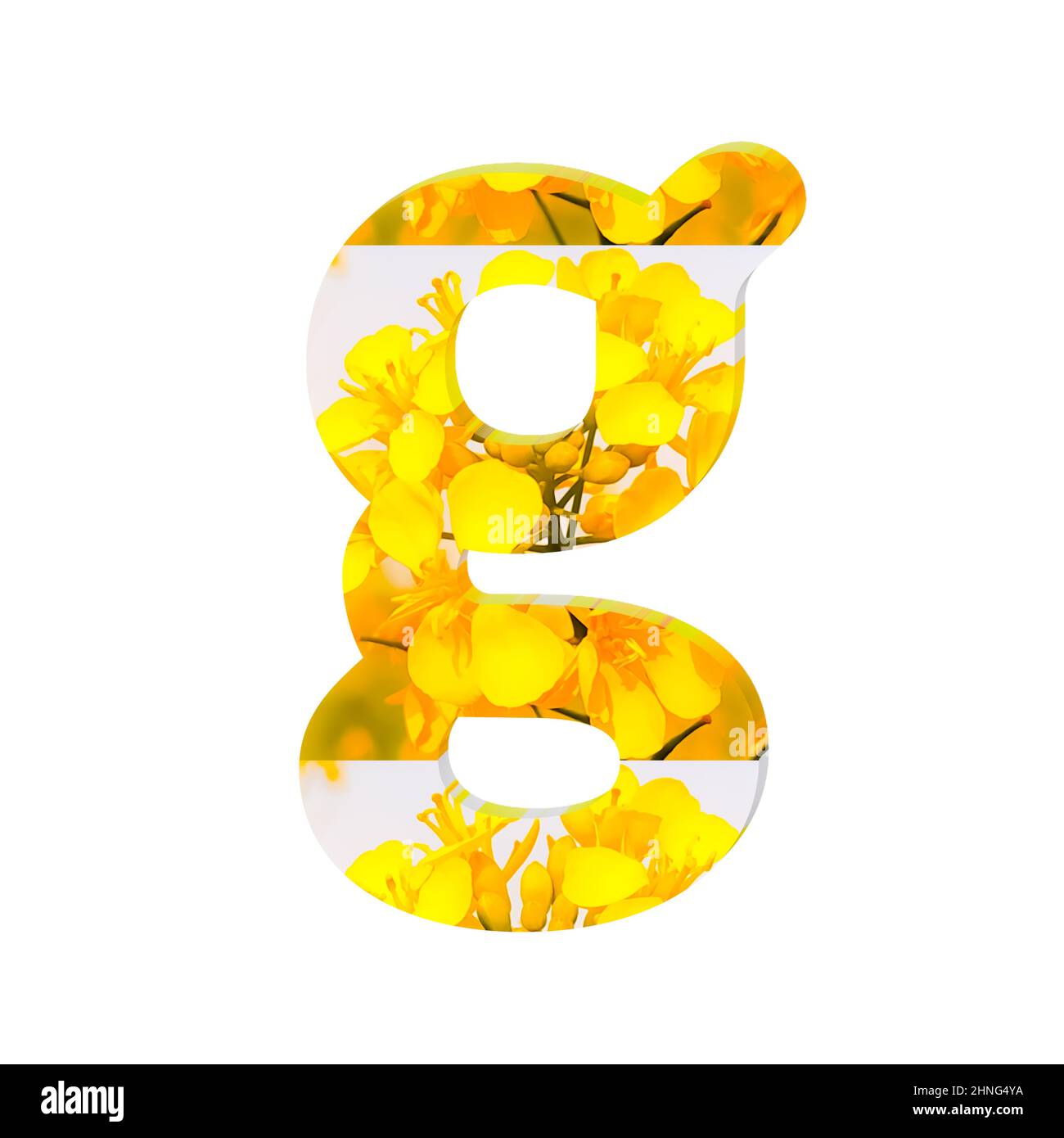 Letter g flowers hi-res stock photography and images - Alamy