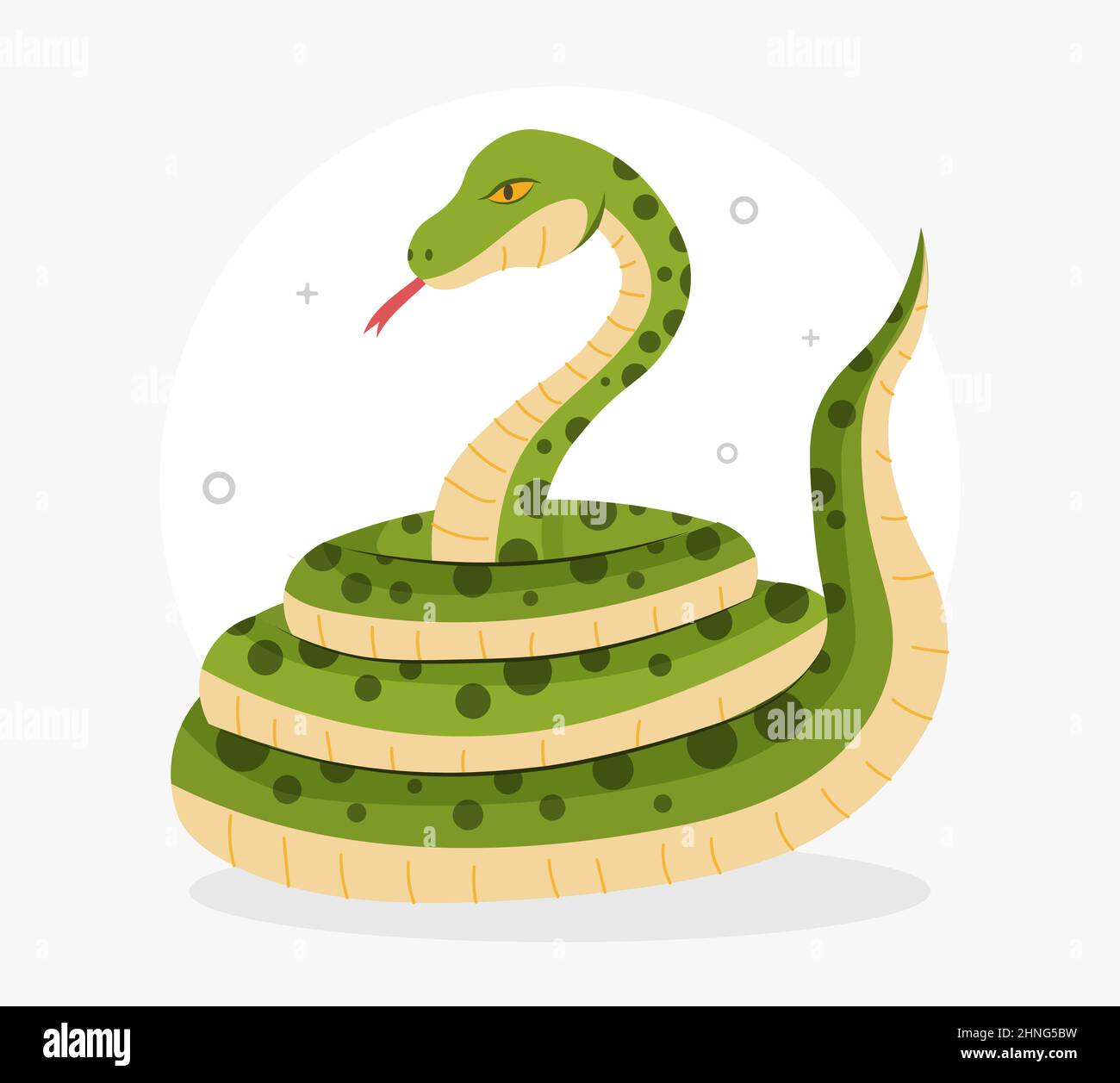 Boa constrictor for kid Stock Vector Image & Art - Alamy