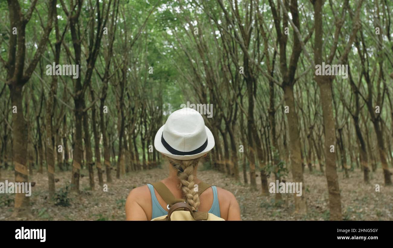 The traveler walks between trees plantation agriculture of asia for ...