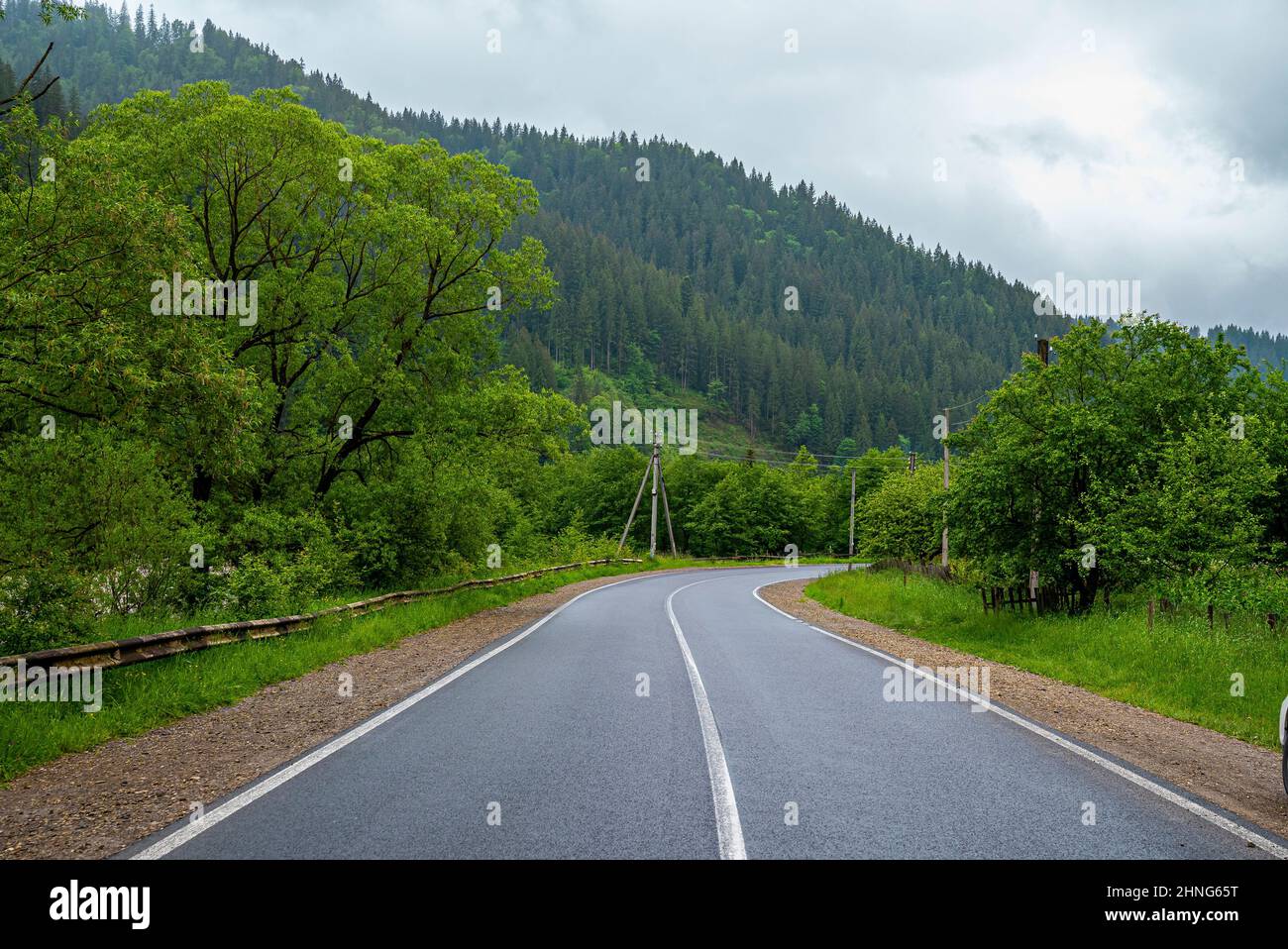 Curved asphalt road with white surface marking through forest Stock Photo - Alamy