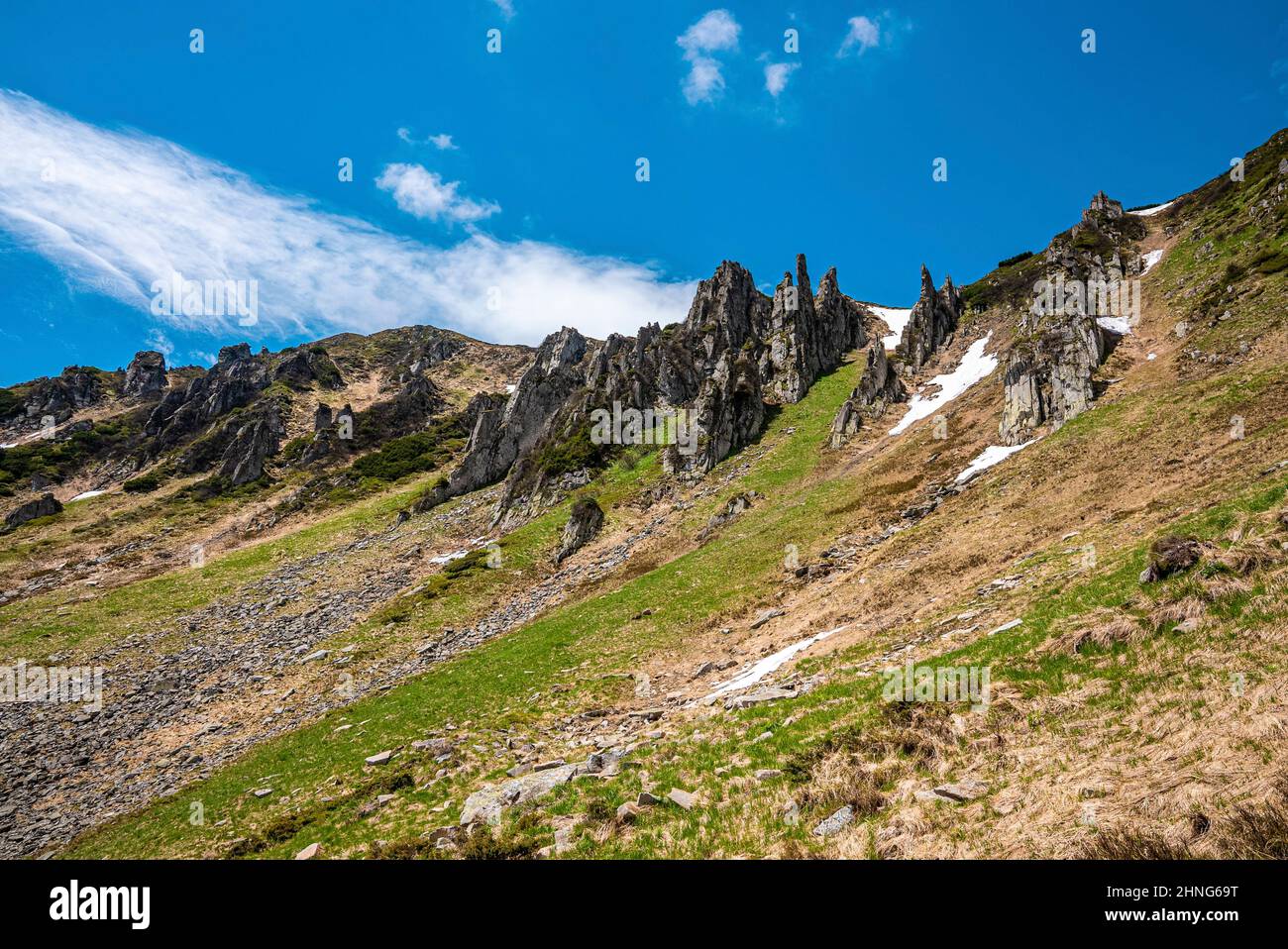 Moss cliff hi-res stock photography and images - Alamy