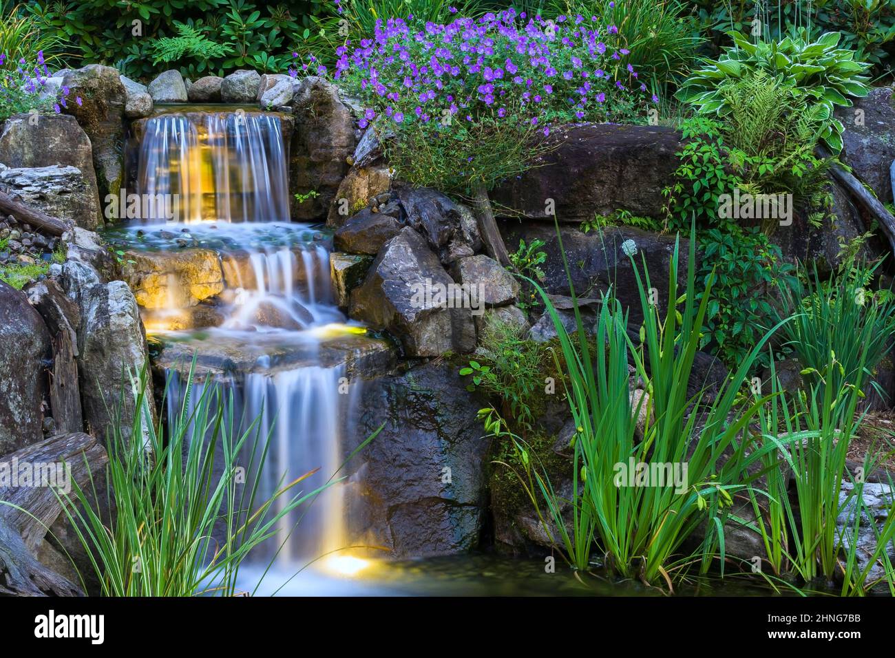Cascading waterfall borderd by Geranium 'Rozanne' - Cranesbill flowers ...