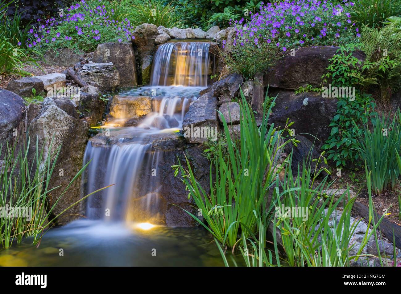 Cascading waterfall borderd by Geranium 'Rozanne' - Cranesbill flowers ...
