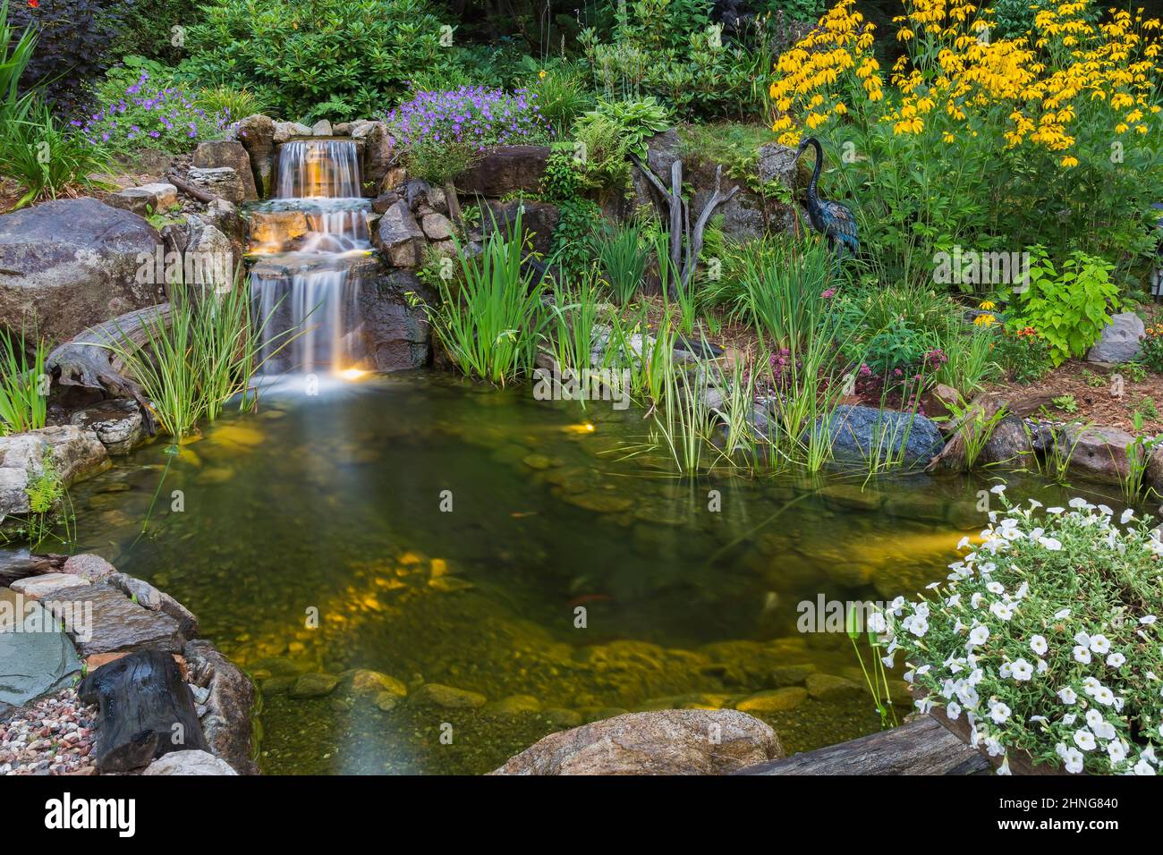 Geranium rozanne garden border hi-res stock photography and images - Alamy