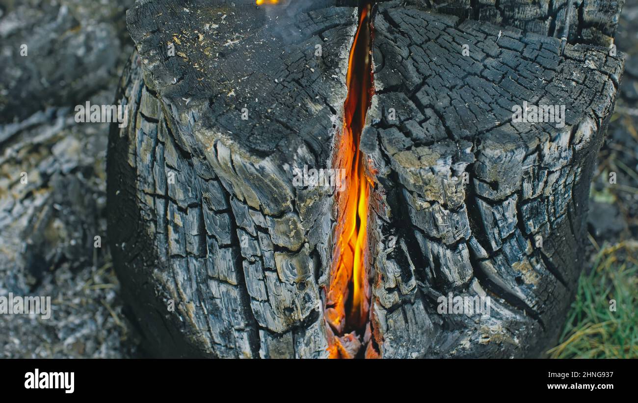 Swedish or finnish log candle. Fire burning from inside the wooden log ...