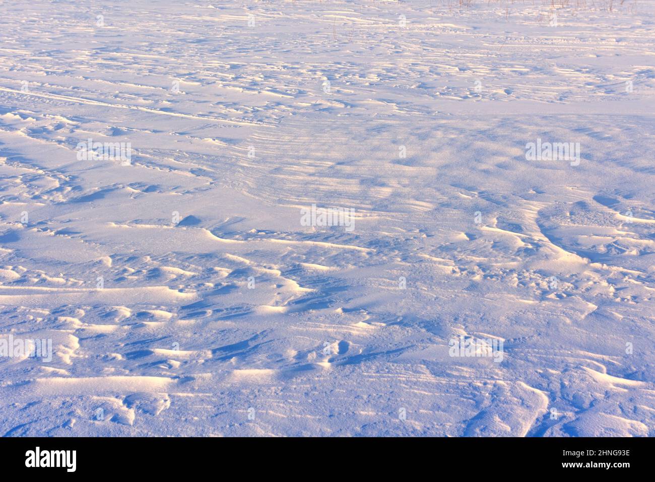 The surface is covered with snow. Winter field, waves of snow drifts ...