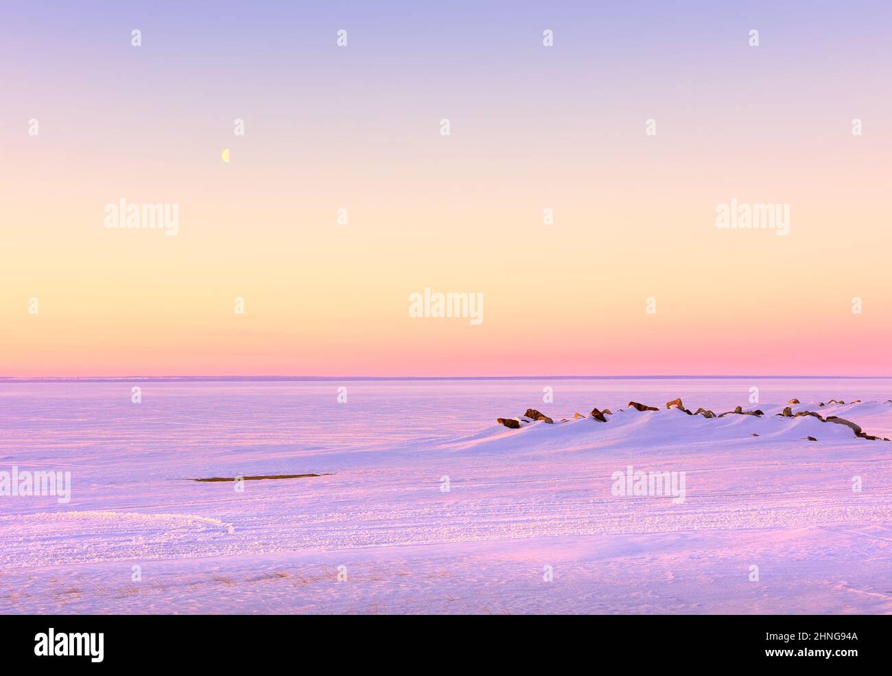Pink morning over the Novosibirsk reservoir. Ob Sea covered with ice to ...
