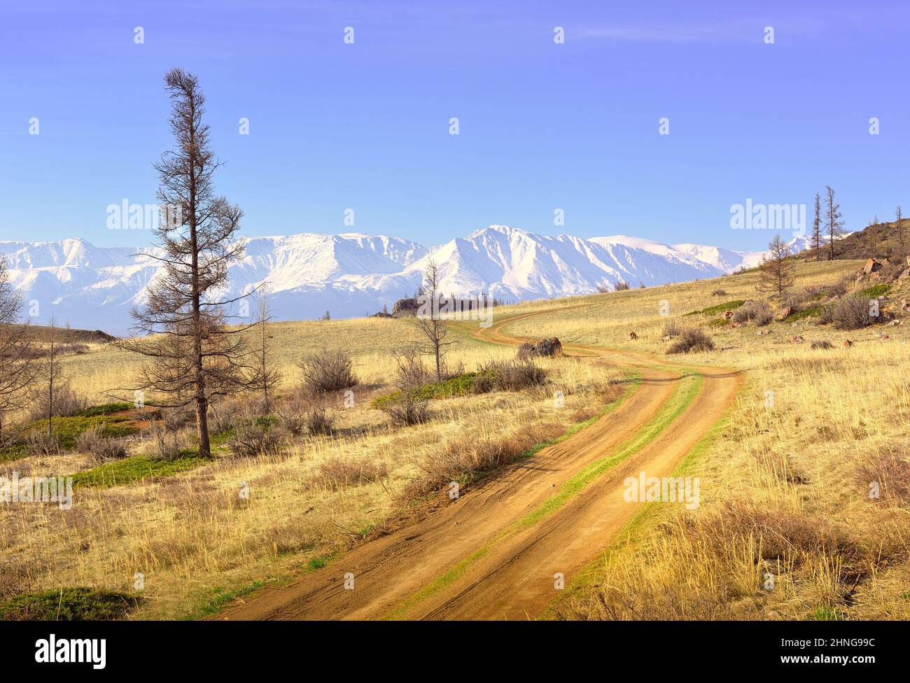 The North-Chui range in the Altai Mountains. A winding dirt road in the ...