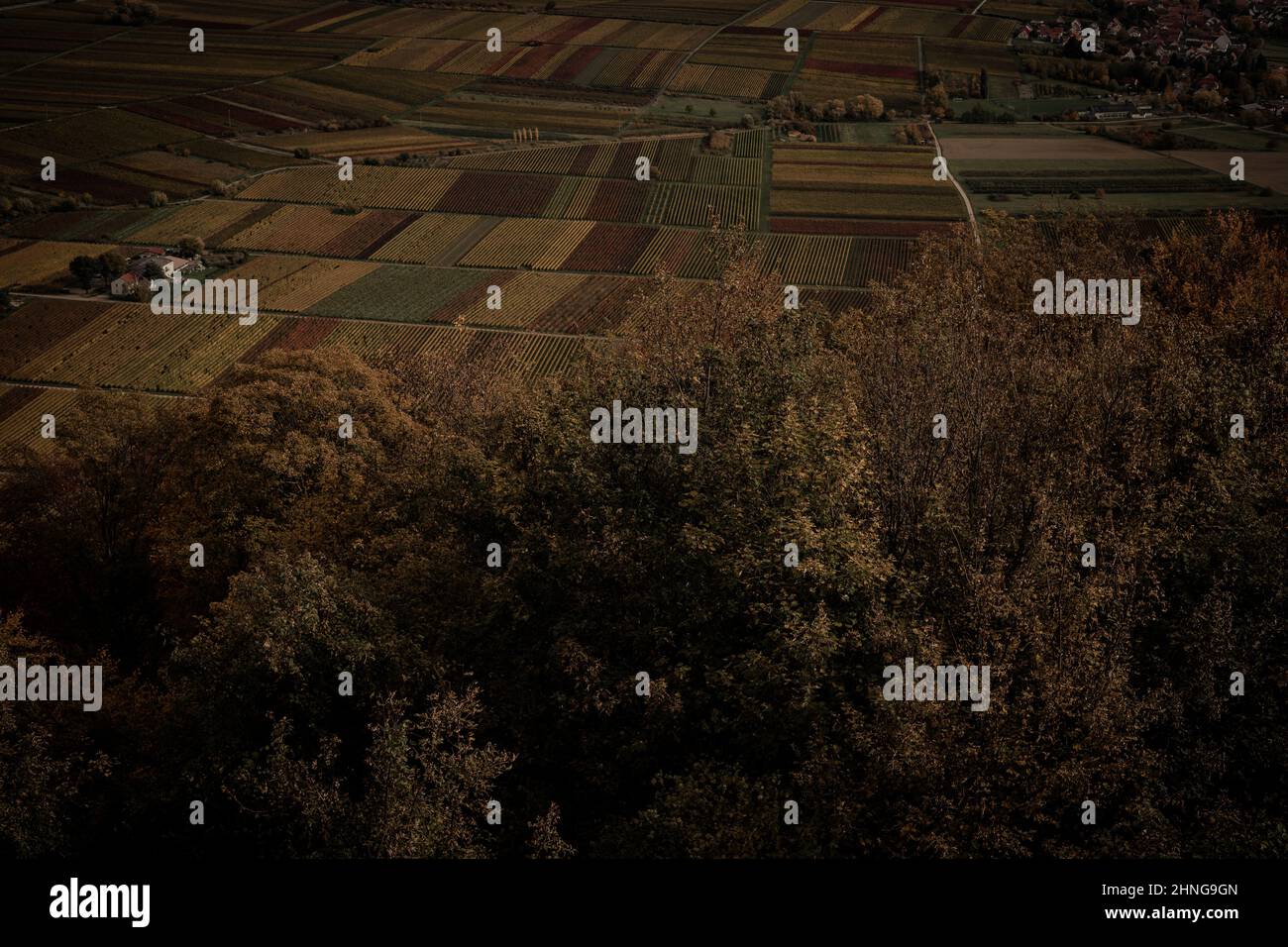 Landscape of farm field crops in a village in the evening - perfect for ...