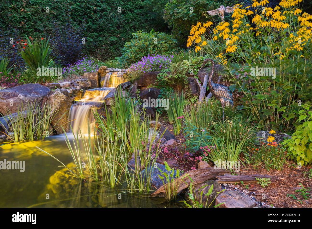 Geranium rozanne garden border hi-res stock photography and images - Alamy