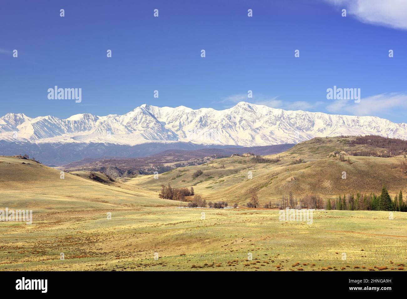 The North-Chui range in the Altai Mountains. Green valley in the Kurai ...