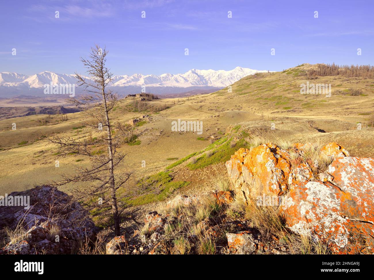The North-Chui range in the Altai Mountains. Rocks and dry grass on a ...