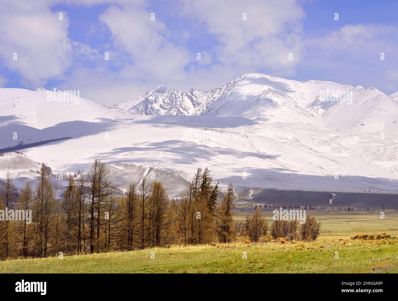 Cloud landscape in the Kurai steppe. Fir trees and dry grass on the ...