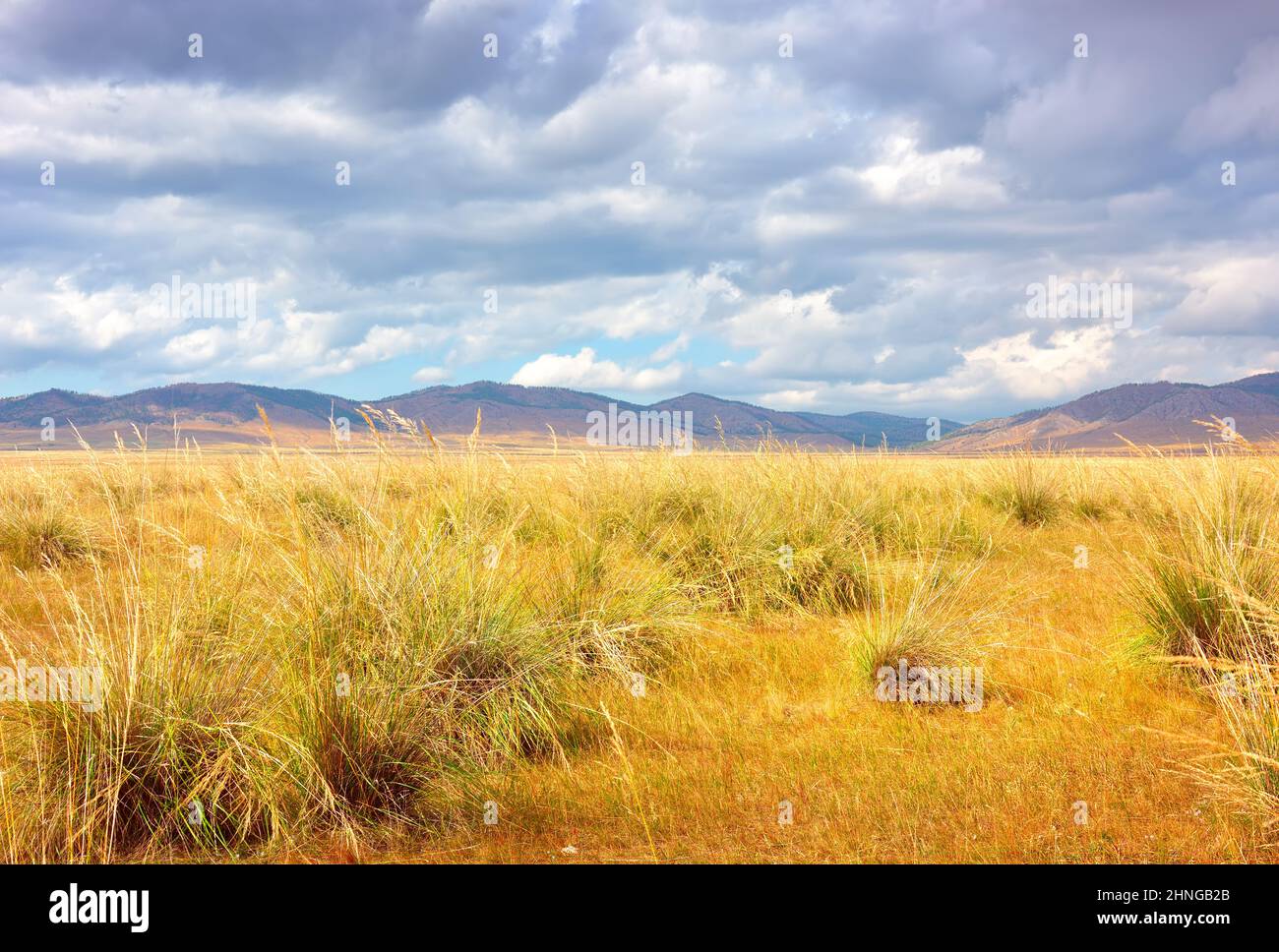 Grass bushes in the steppe against the background of mountain ranges on the horizon under a ...